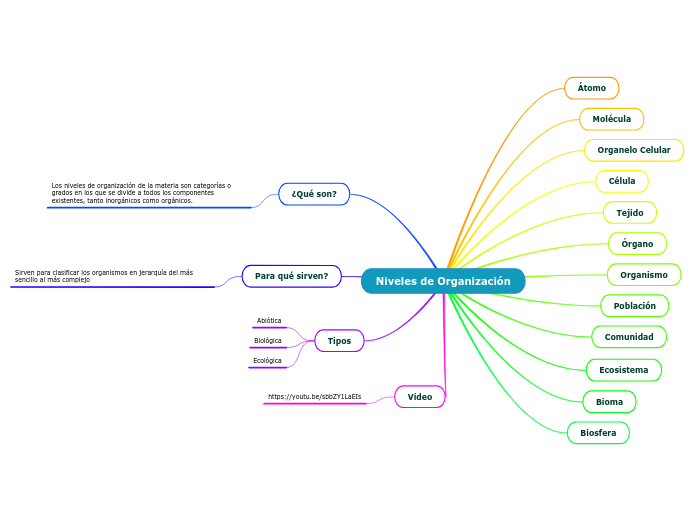 Niveles de Organización - Mind Map